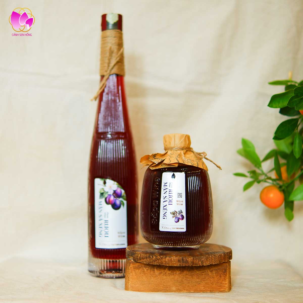 Rượu Mận Sả Xéng - Sapa Wine - Cánh Sen Hồng